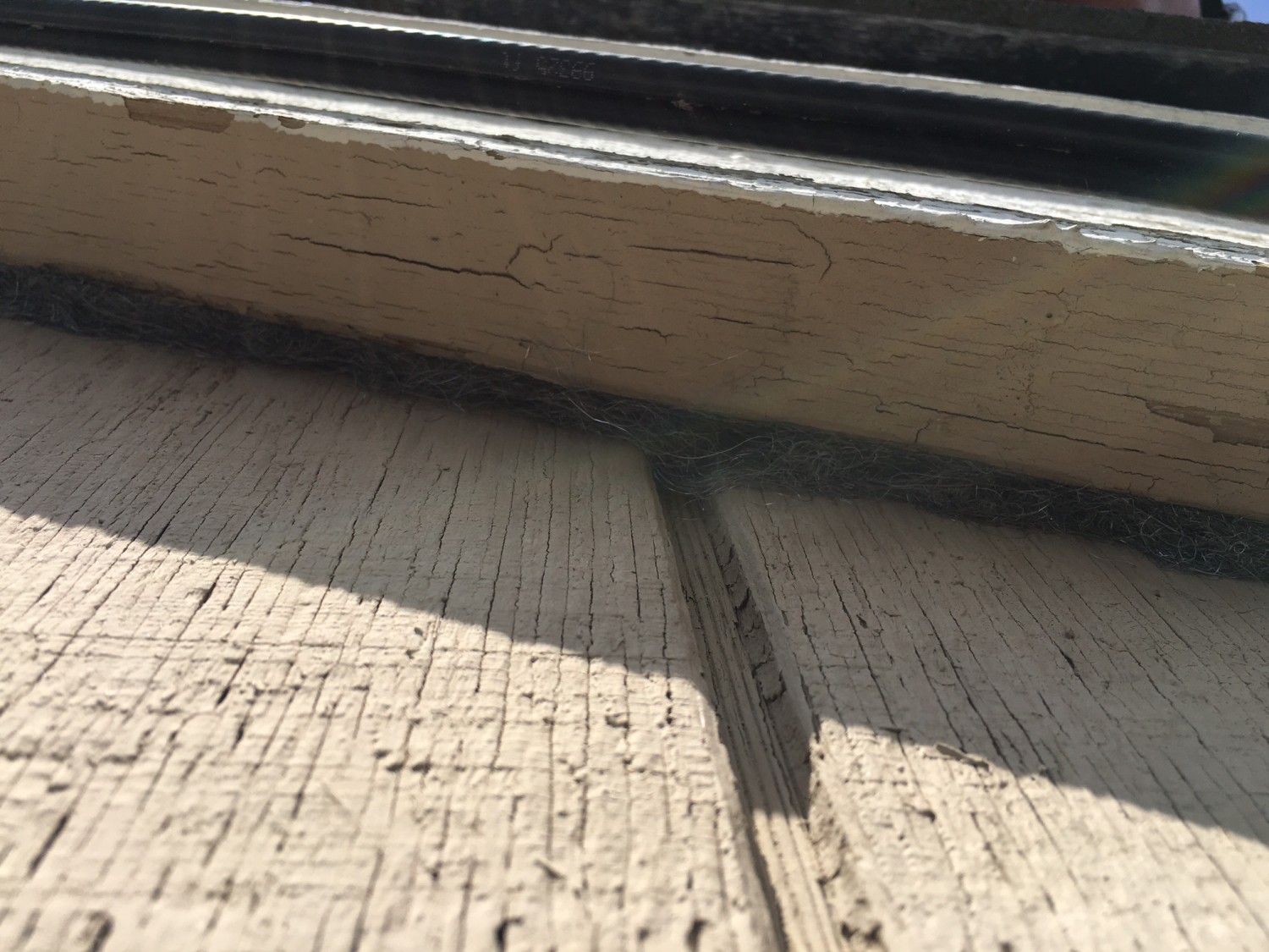 Steps on How to Bat Proof Your Home